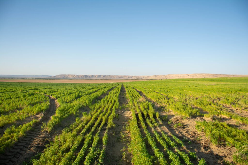 EBDA in July 2023 – Ebda Earth